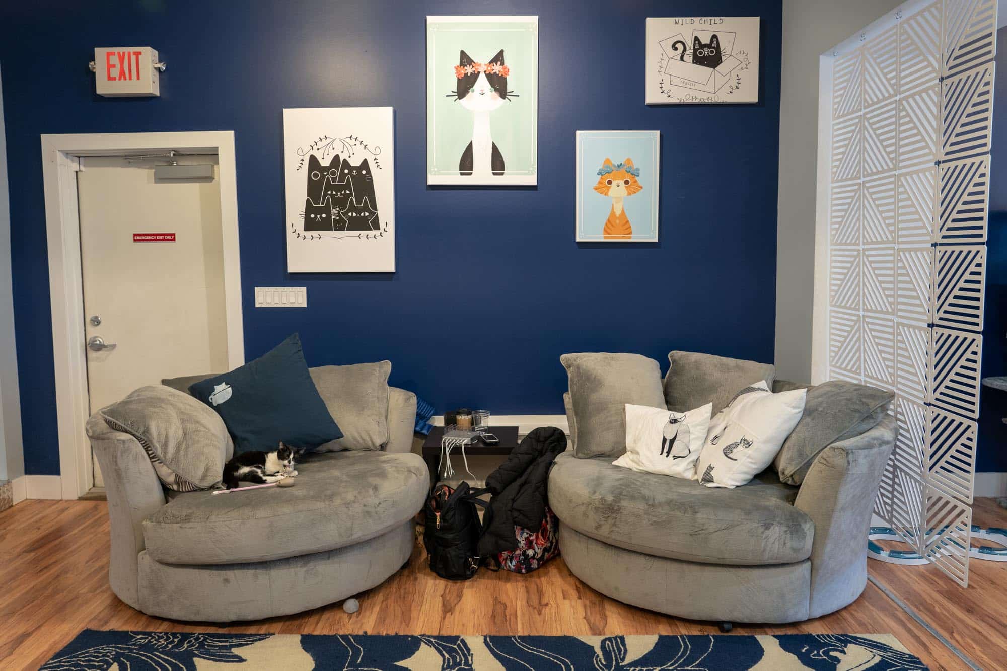 Visiting the First Cleveland Cat Cafe: Cats and Coffee at AffoGATO
