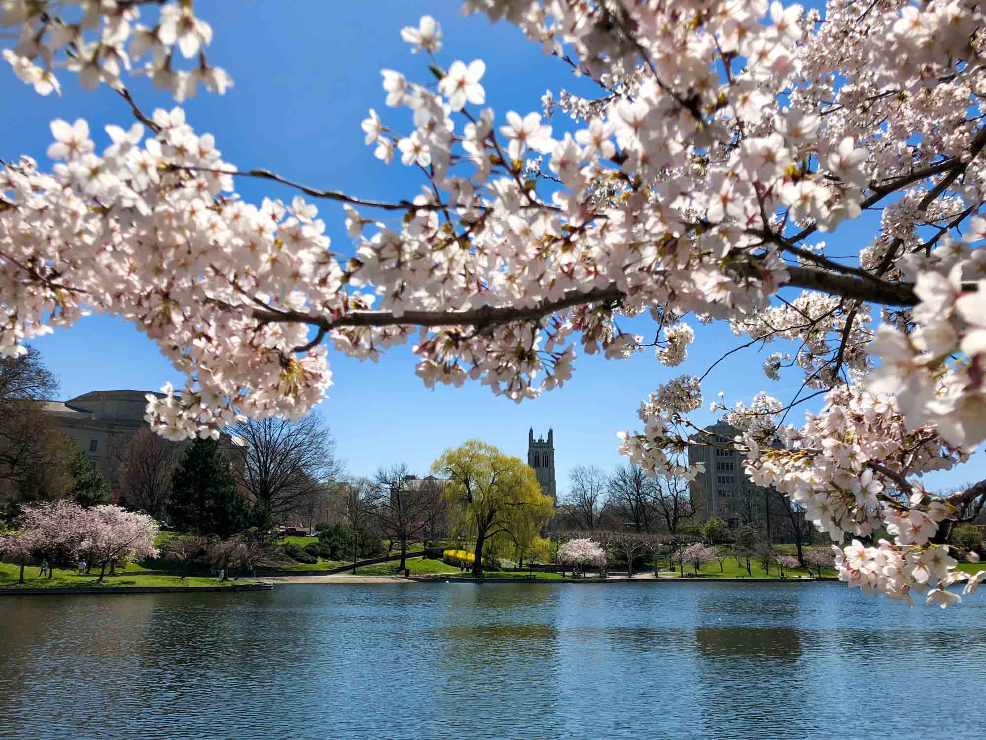 10 Best Things to Do in Cleveland in April