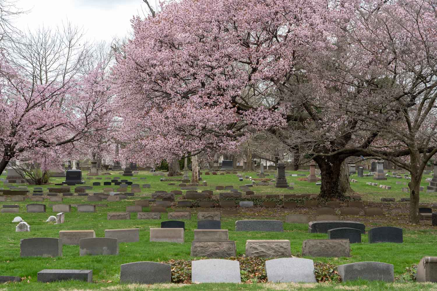 10 Best Things to Do in Cleveland in April