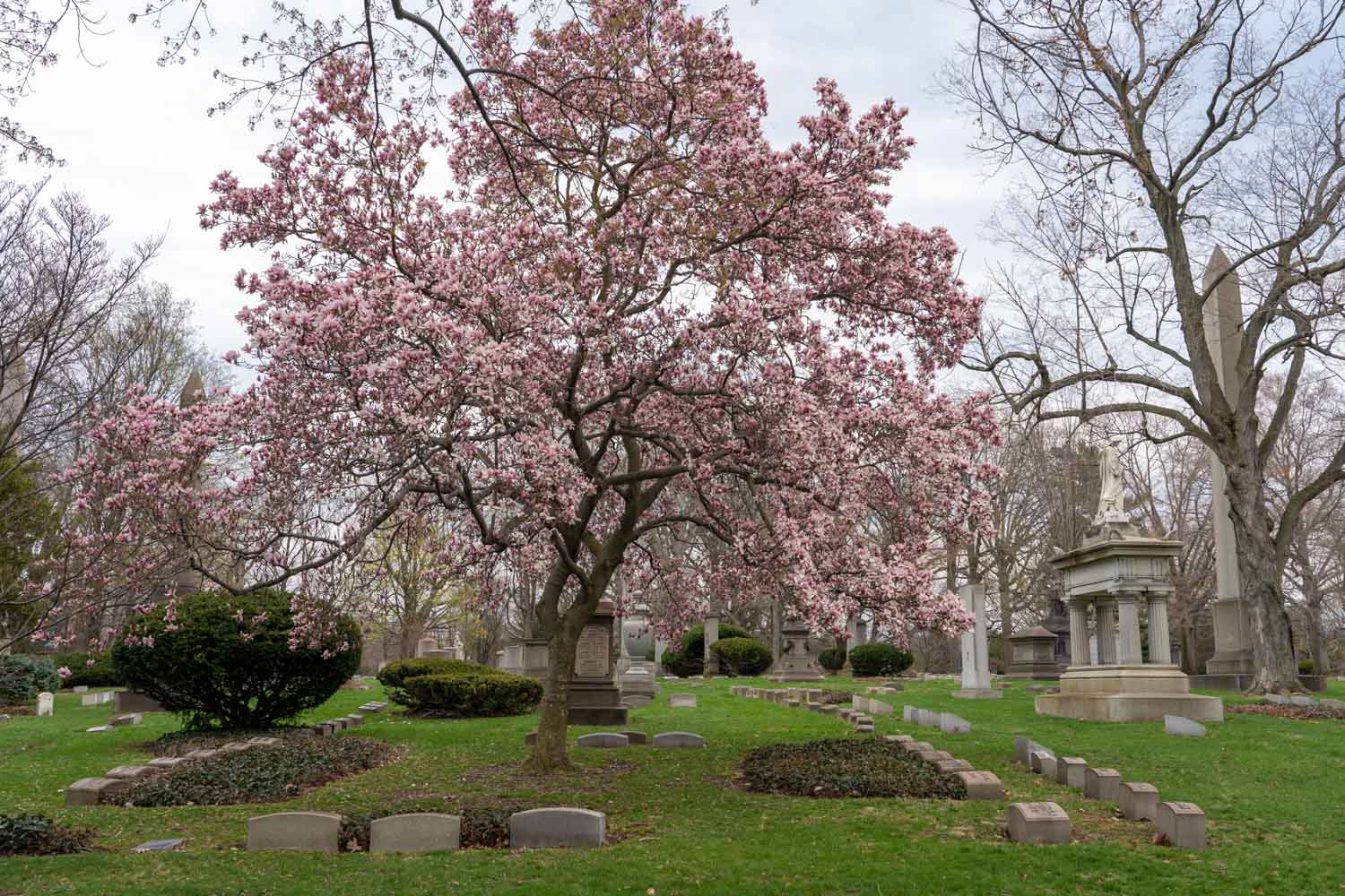 5 Reasons to Visit Lake View Cemetery in Cleveland