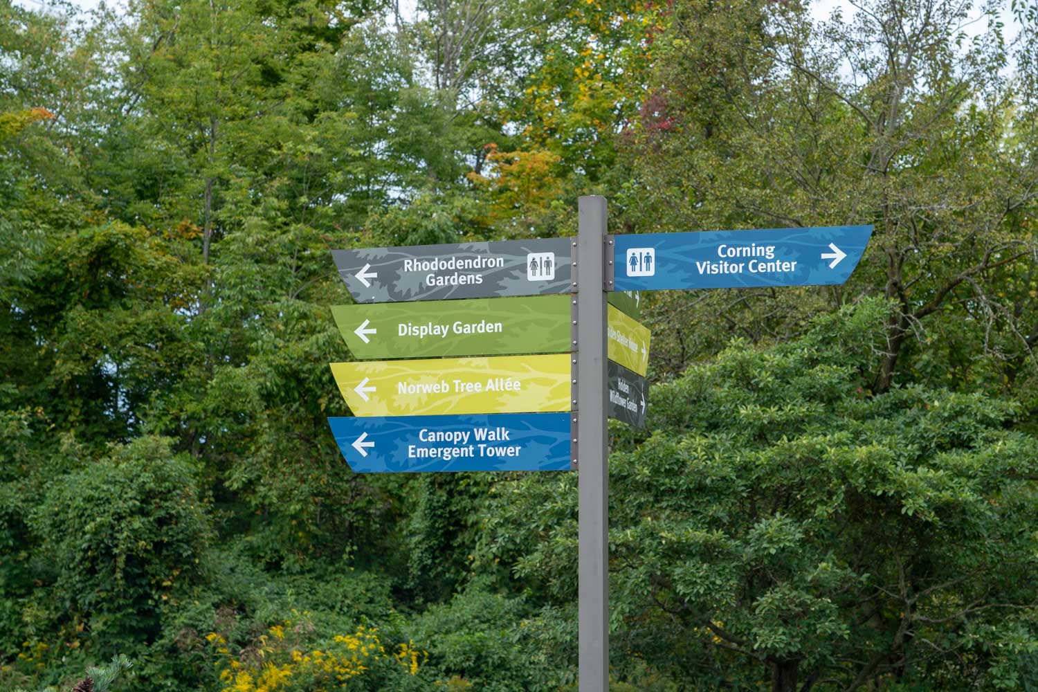 5 Things to Do at the Holden Arboretum near Cleveland, Ohio