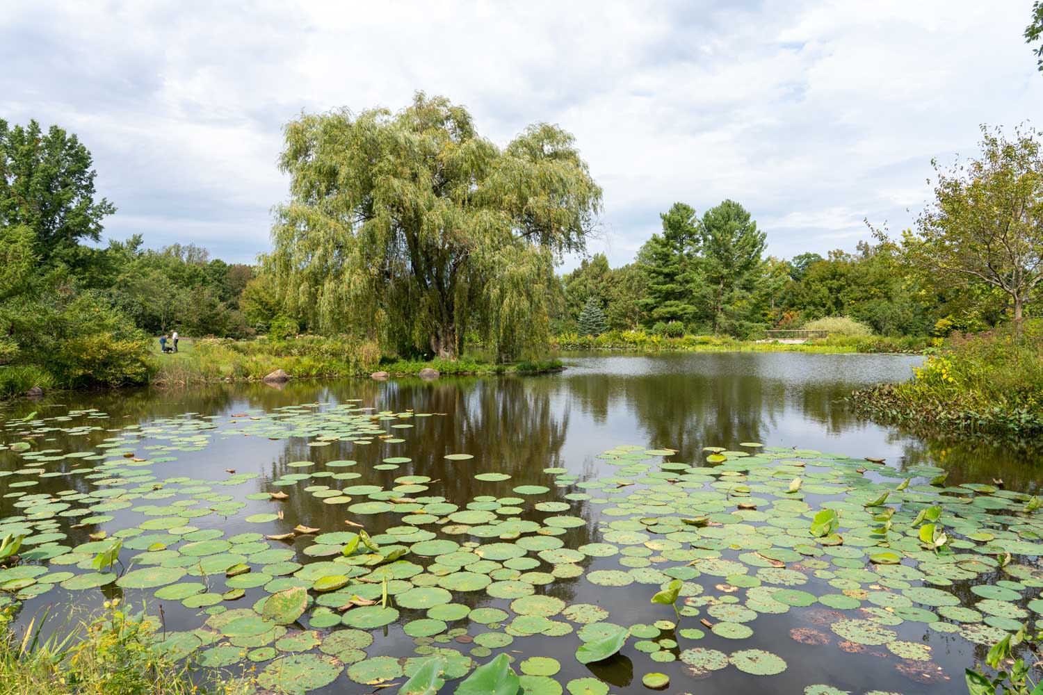 5 Things to Do at the Holden Arboretum near Cleveland, Ohio