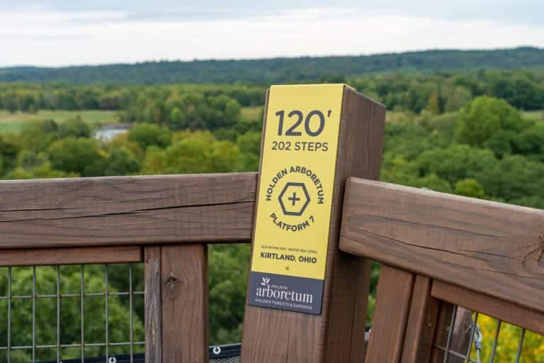 5 Things to Do at the Holden Arboretum near Cleveland, Ohio