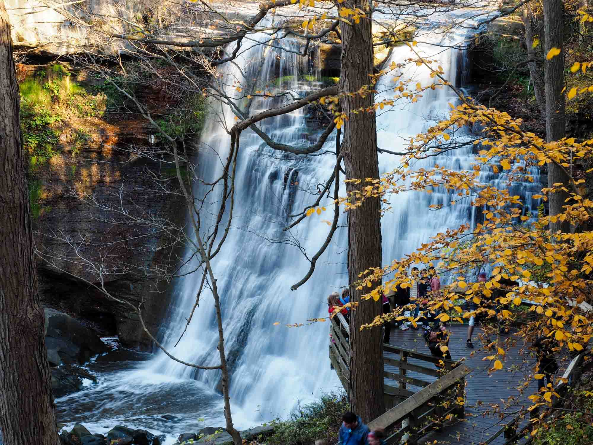 12 Beautiful Places to See the Best Fall Color in Cleveland