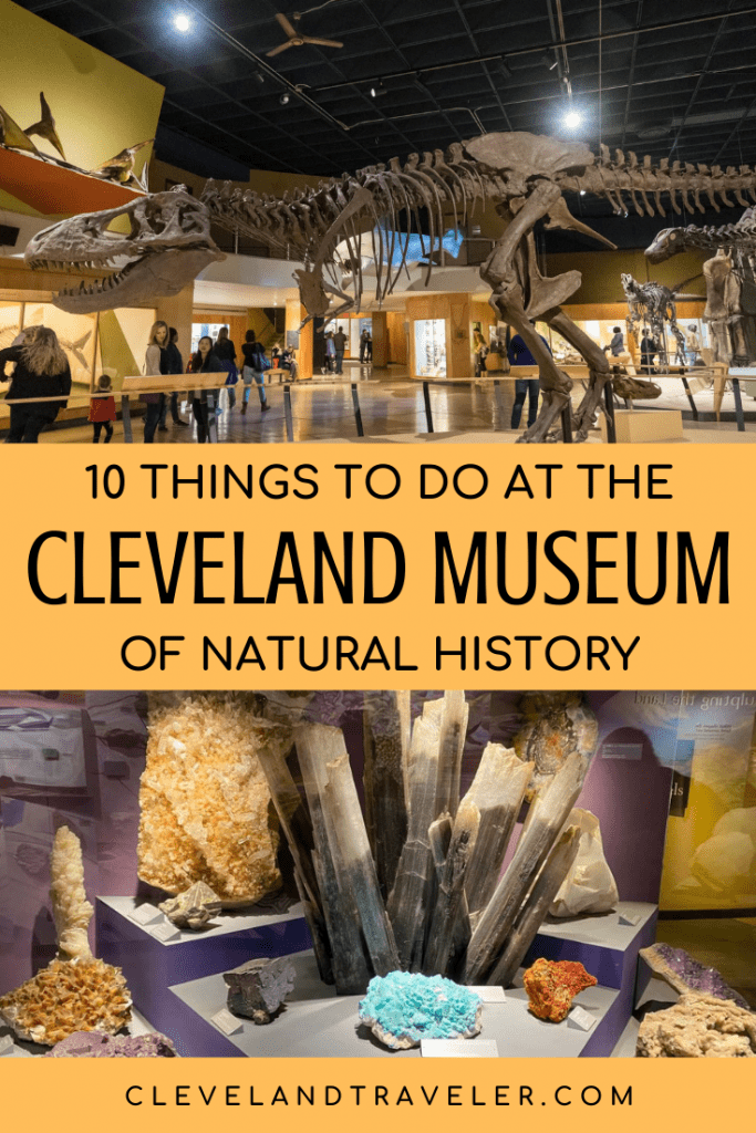Cleveland Museum of Natural History: Your Complete Guide to Visiting