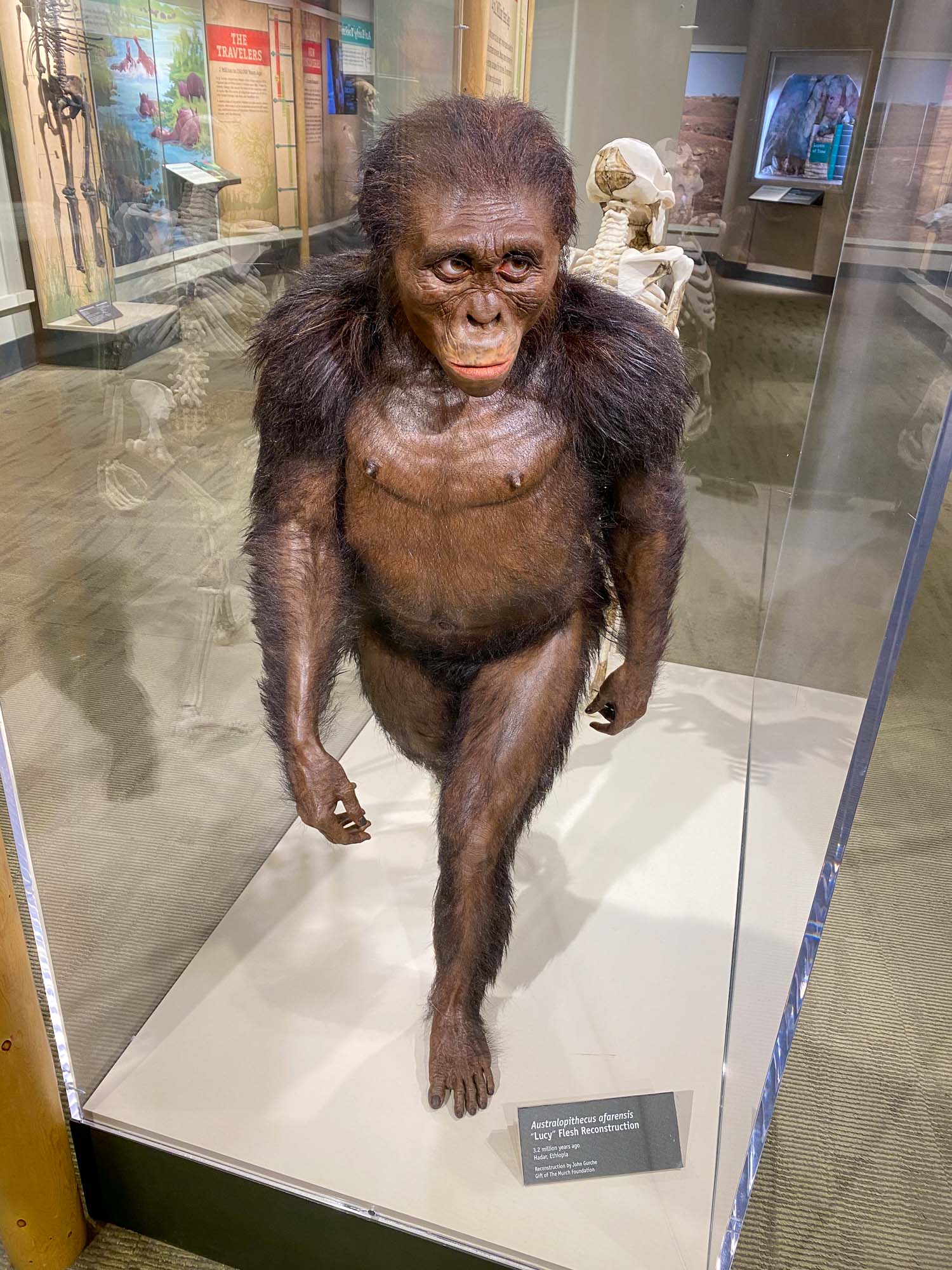 Cleveland Museum of Natural History: Your Complete Guide to Visiting