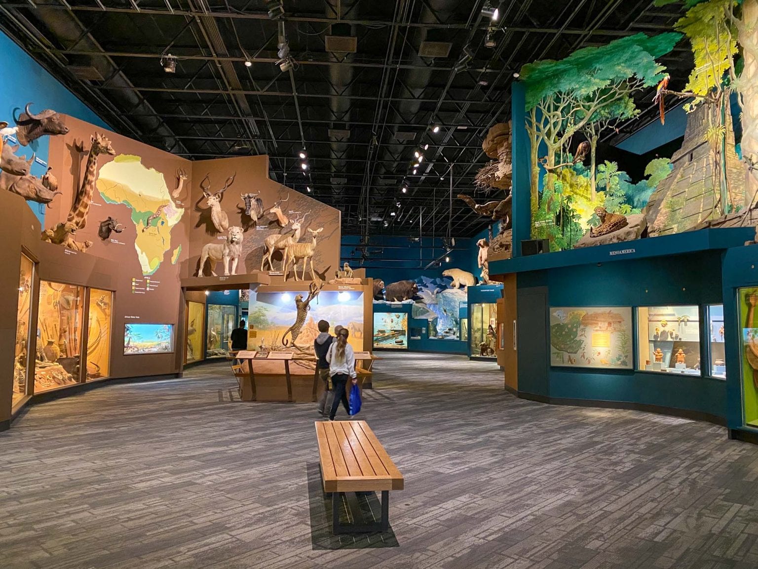 Cleveland Museum of Natural History: Your Complete Guide to Visiting