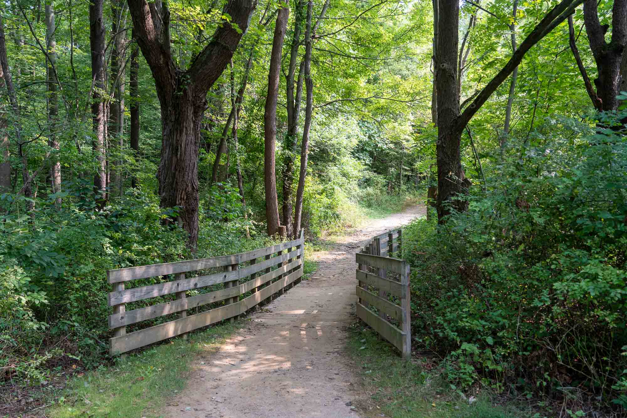 The Ultimate Guide to the Summit Metro Parks Fall Hiking Spree