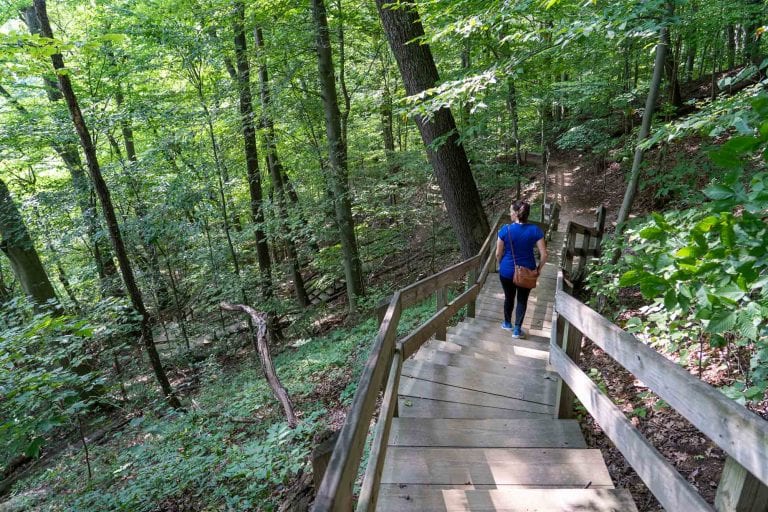 The Ultimate Guide to the Summit Metro Parks Fall Hiking Spree