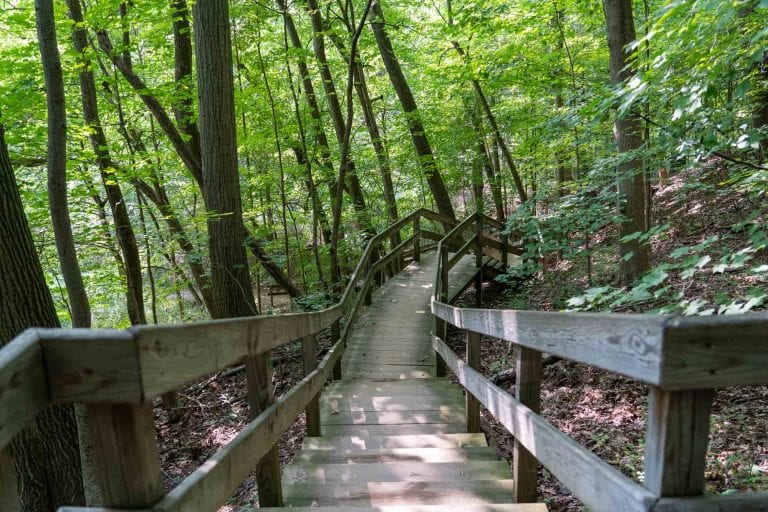 The Ultimate Guide to the Summit Metro Parks Fall Hiking Spree