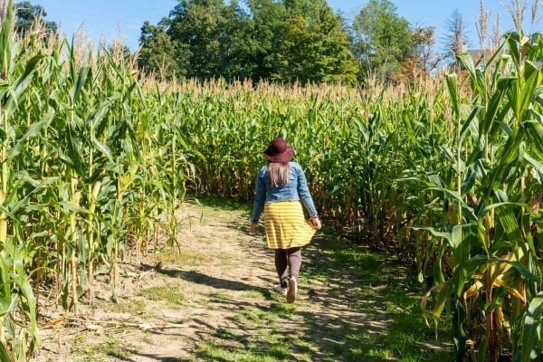 13 of the Best Things to Do in Cleveland in the Fall