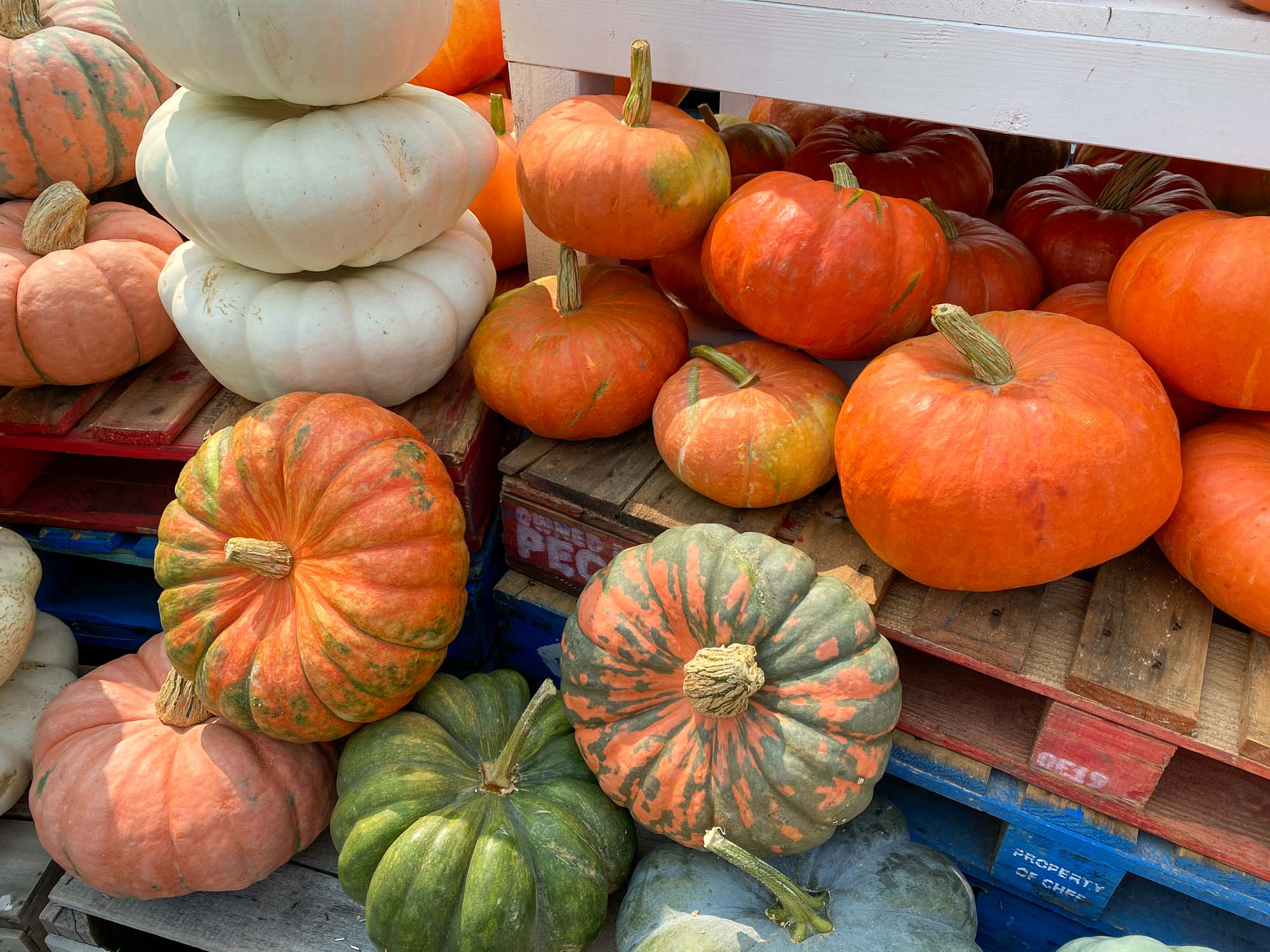 13 of the Best Things to Do in Cleveland in the Fall