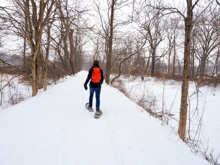 10 Cool Things to Do in Cleveland in Winter