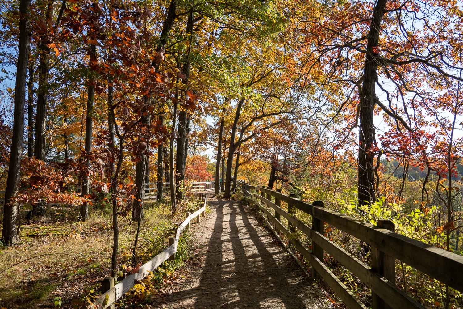 12 Beautiful Places to See the Best Fall Color in Cleveland