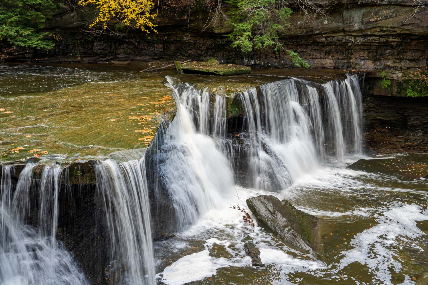 12 Beautiful Places to See the Best Fall Color in Cleveland