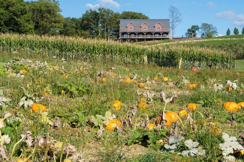 The Best Farms Near Cleveland for Pumpkin Patches, Corn Mazes, and More ...