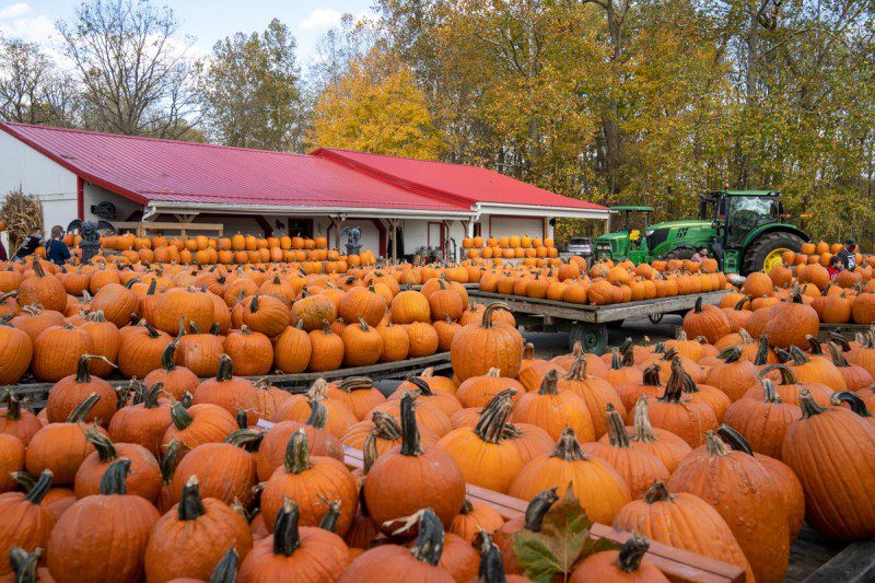 The Best Farms Near Cleveland for Pumpkin Patches, Corn Mazes, and More ...