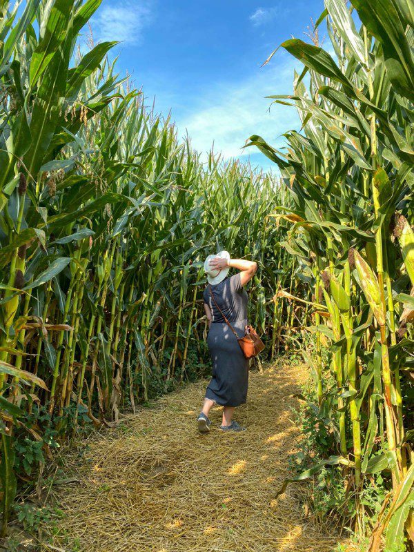 The Best Farms Near Cleveland for Pumpkin Patches, Corn Mazes, and More ...