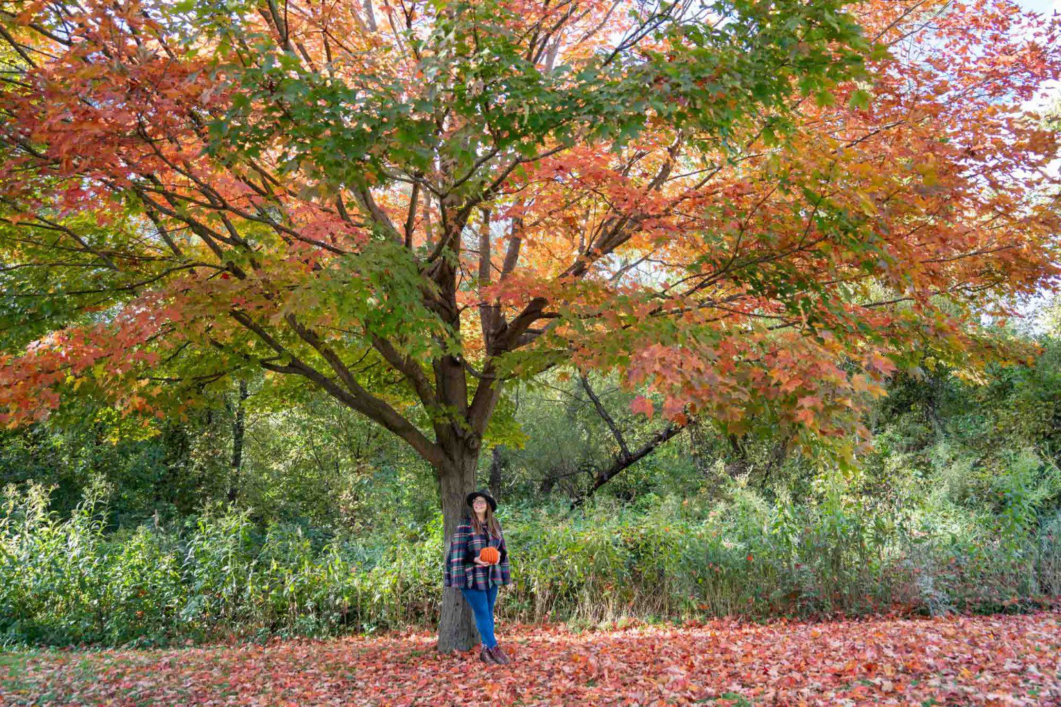 12 Beautiful Places to See the Best Fall Color in Cleveland